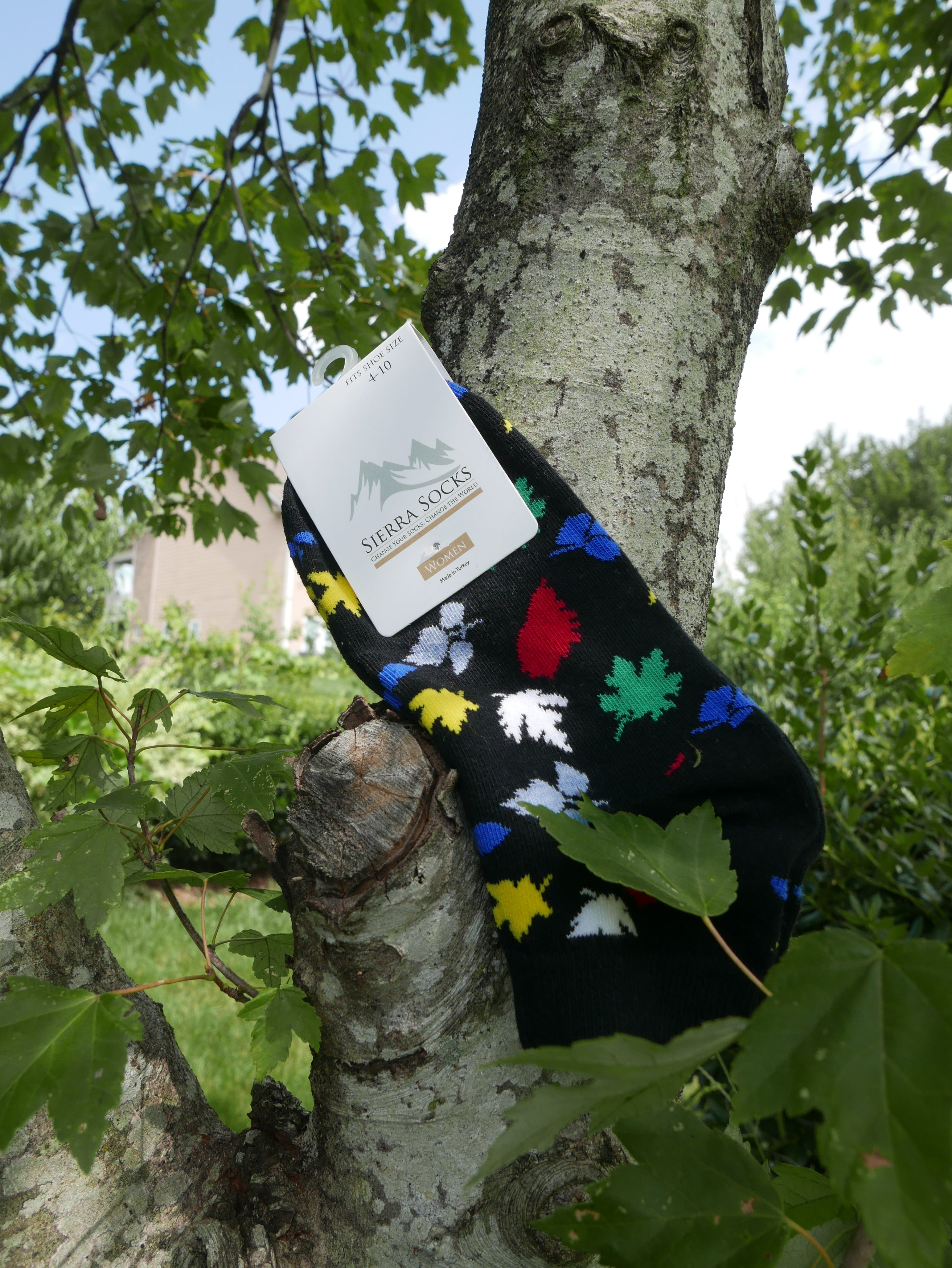 Fall is Here, Leaves pattern Cotton socks. | Sierra Socks