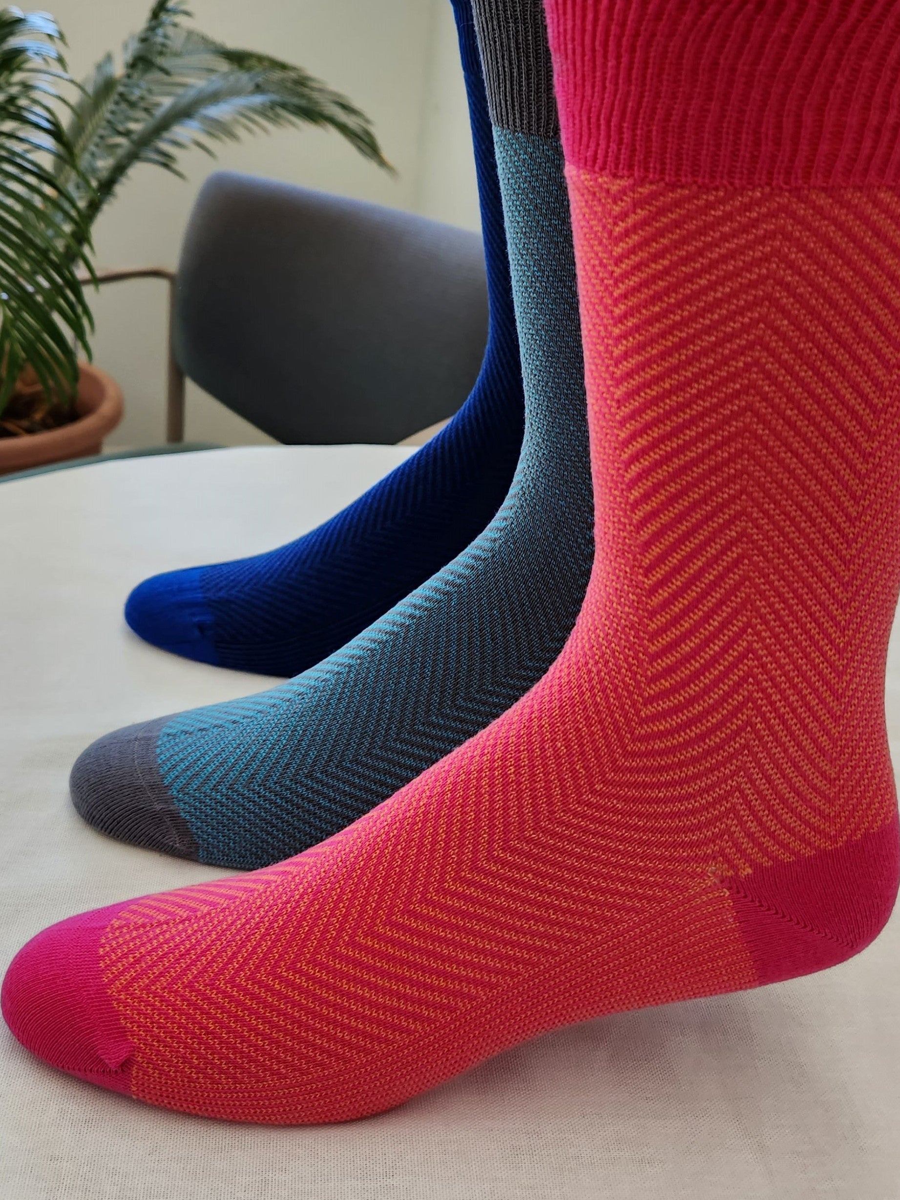Men's Colorful Combed Cotton Socks | Sierra Socks